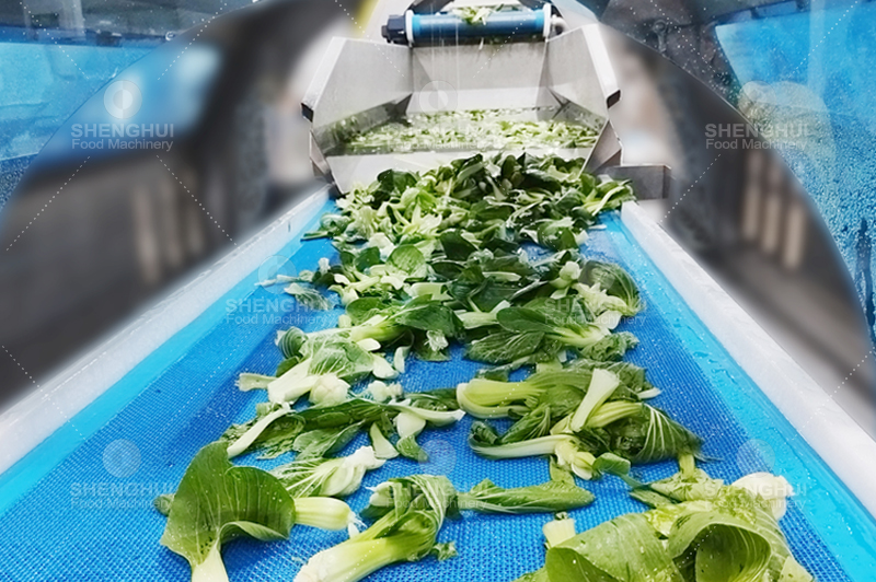 Large intelligent vortex fruit and vegetable cleaning and dehydration ...