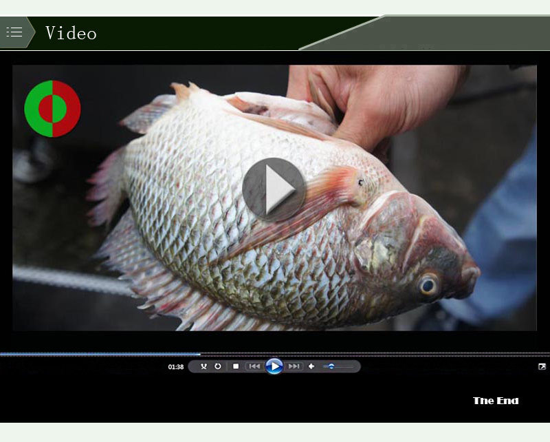 Fish machinery - Buy fish processing line, fish production, cleaner ...