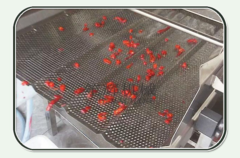 Pepper chilli processing equipment - Buy slicer machine, dried peppers ...